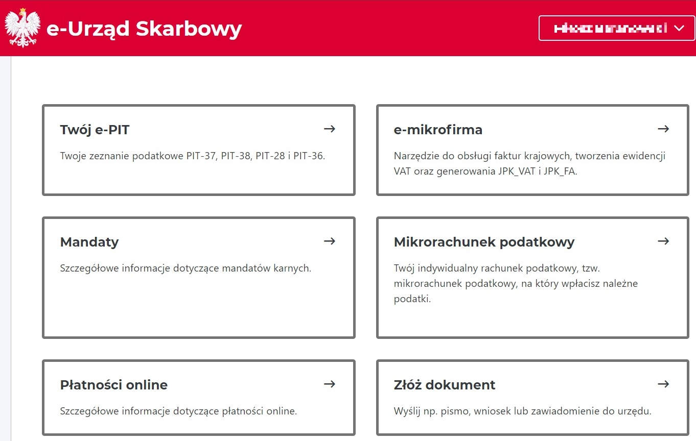 Jak złożyć czynny żal elektronicznie? Instrukcja krok po kroku - TaxCoach